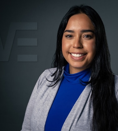 Home [www.vertical-earth.com]